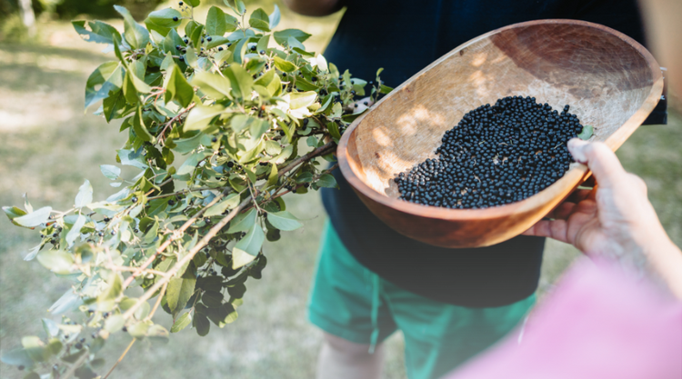 Top 10 Benefits of Maqui Berry Powder: Why This Superfood Is Essential for Your Health | VitalMaqui